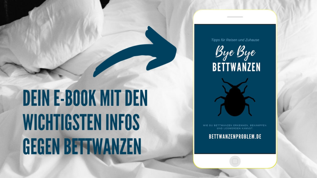 Bettwanzen erkennen - 7 typische Anzeichen für Bettwanzen