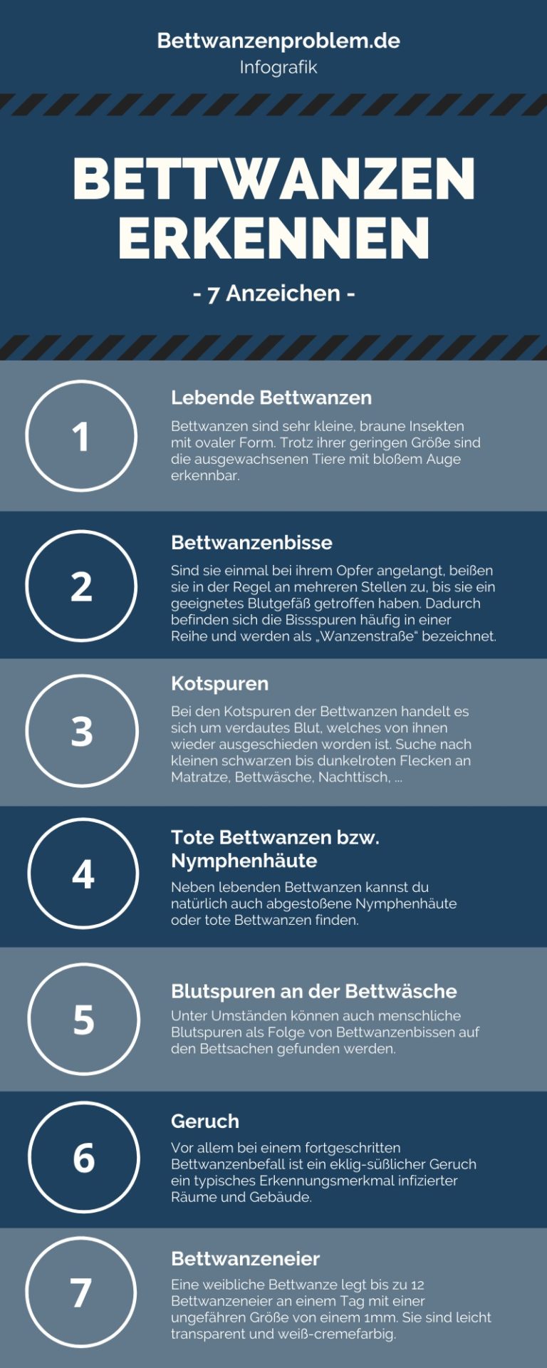 Bettwanzen erkennen mit diesen 7 typischen Anzeichen